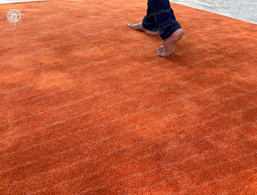 Modern Plain Hand-tufted Rug for Living Room, Soft Pile Rug Handmade ...