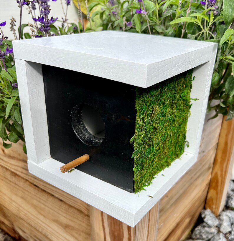 Digital Plans for Modern Bird House - Etsy