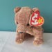 Ty Beanie Baby Pecan the Bear - Etsy