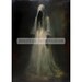 Ghost Bride Painting Print, Dark Academia Gothic Victorian Art ...