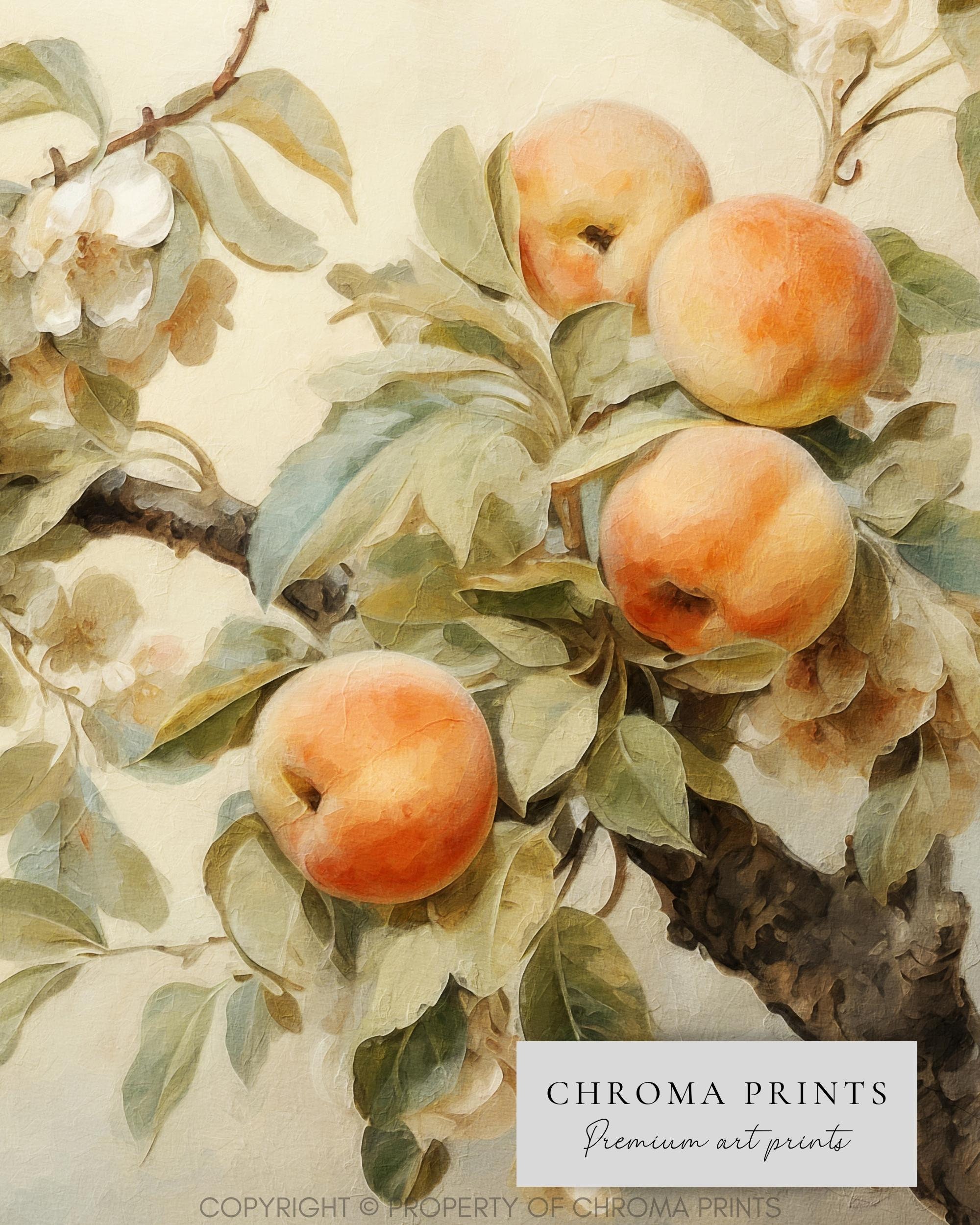 Vintage Apple Tree Artwork Neutral Wall Art Country Apple - Etsy