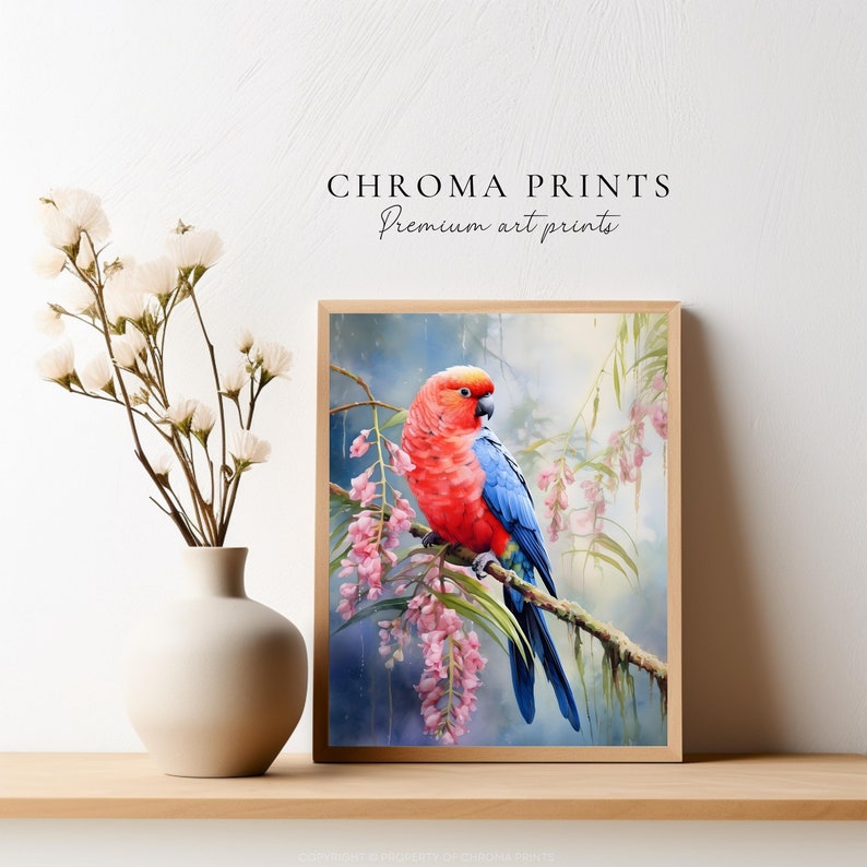 Australian Bird Art Collection Set of 22 Artworks Watercolor Bird ...