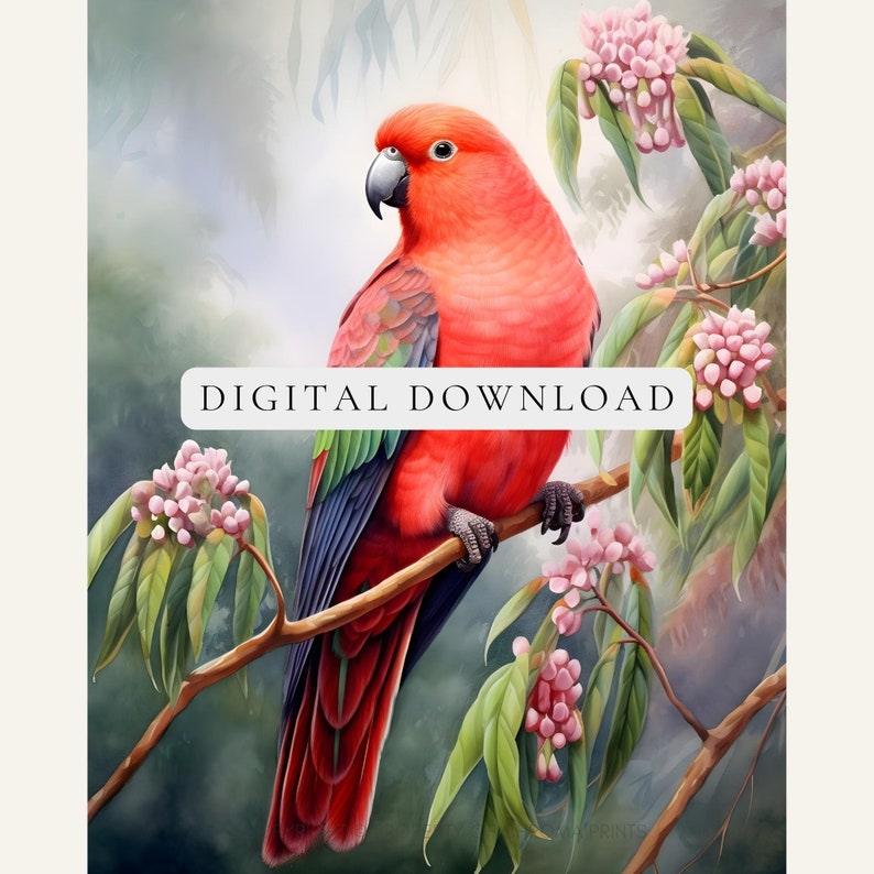 Parrot Painting Art Print | Bird Artwork | Tropical Bird | King Parrot ...