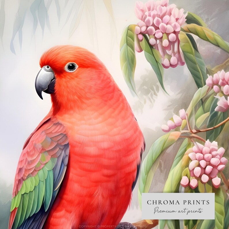 Parrot Painting Art Print | Bird Artwork | Tropical Bird | King Parrot ...
