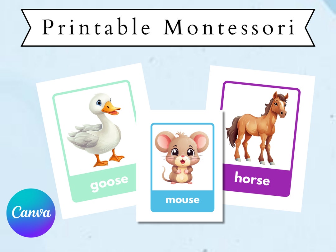 Downloadable Learning Cards, Printable Educational Aids, 30 Nature ...