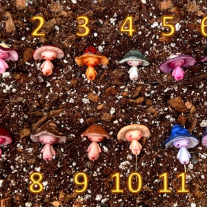 Sproutlings Plant Guardians Handmade Figurines vol 3. - Etsy