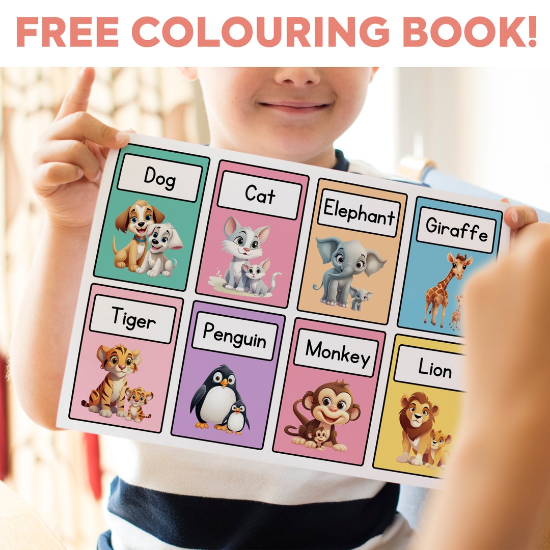 Printable Basic Animal Flash Cards, Classroom Decor, Toddlers Preschool ...