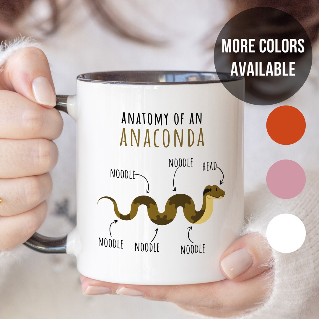 Funny Anatomy of an Anaconda, Snake Mug, Cute Gift for Reptile Lover ...