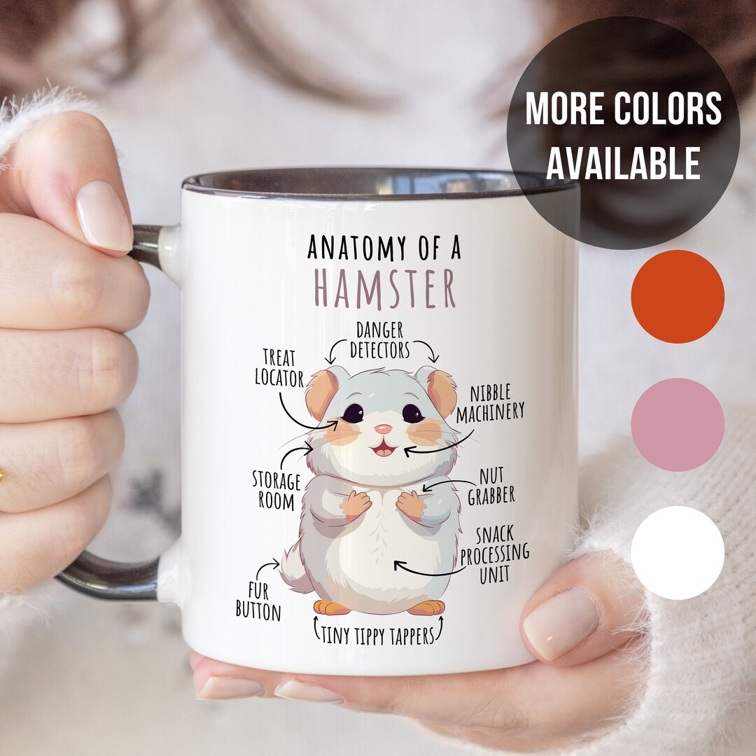 Funny Anatomy of a Hamster Mug, Cute Gift for Pocket Pet Owner ...