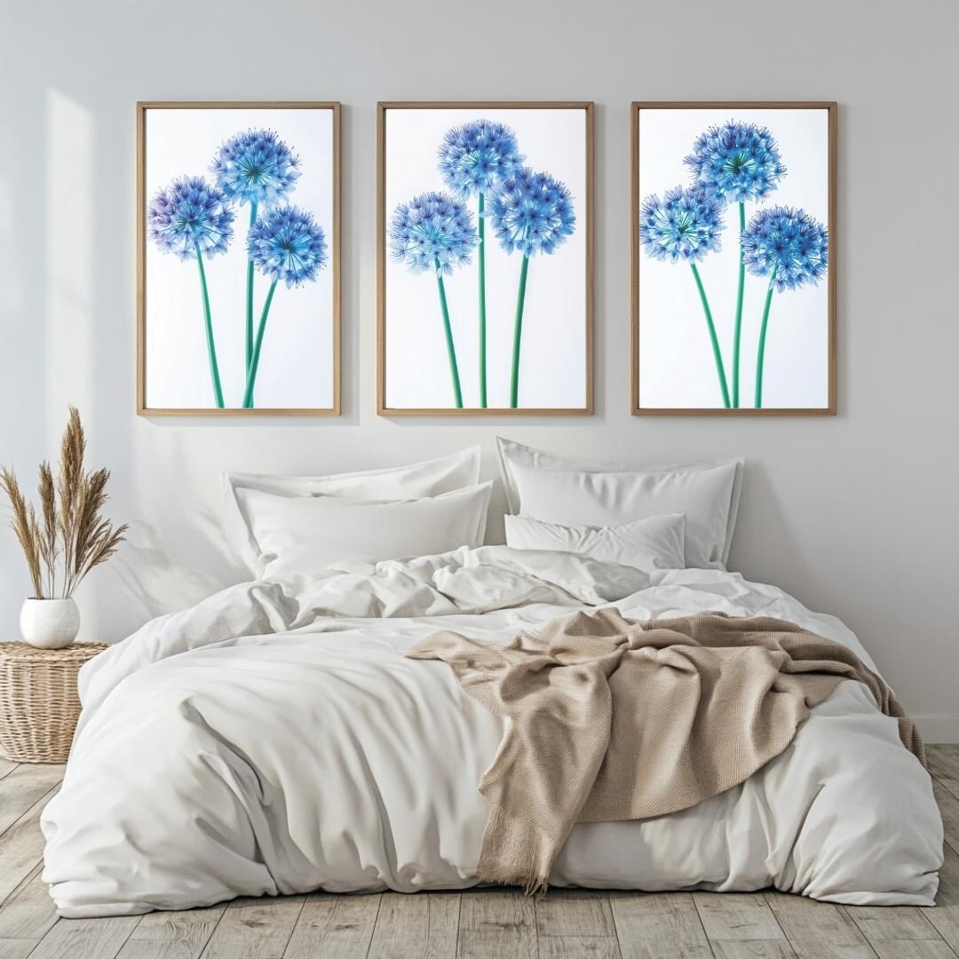 X-ray Allium Flower Prints: Blue Botanical Triptych (digital Download ...