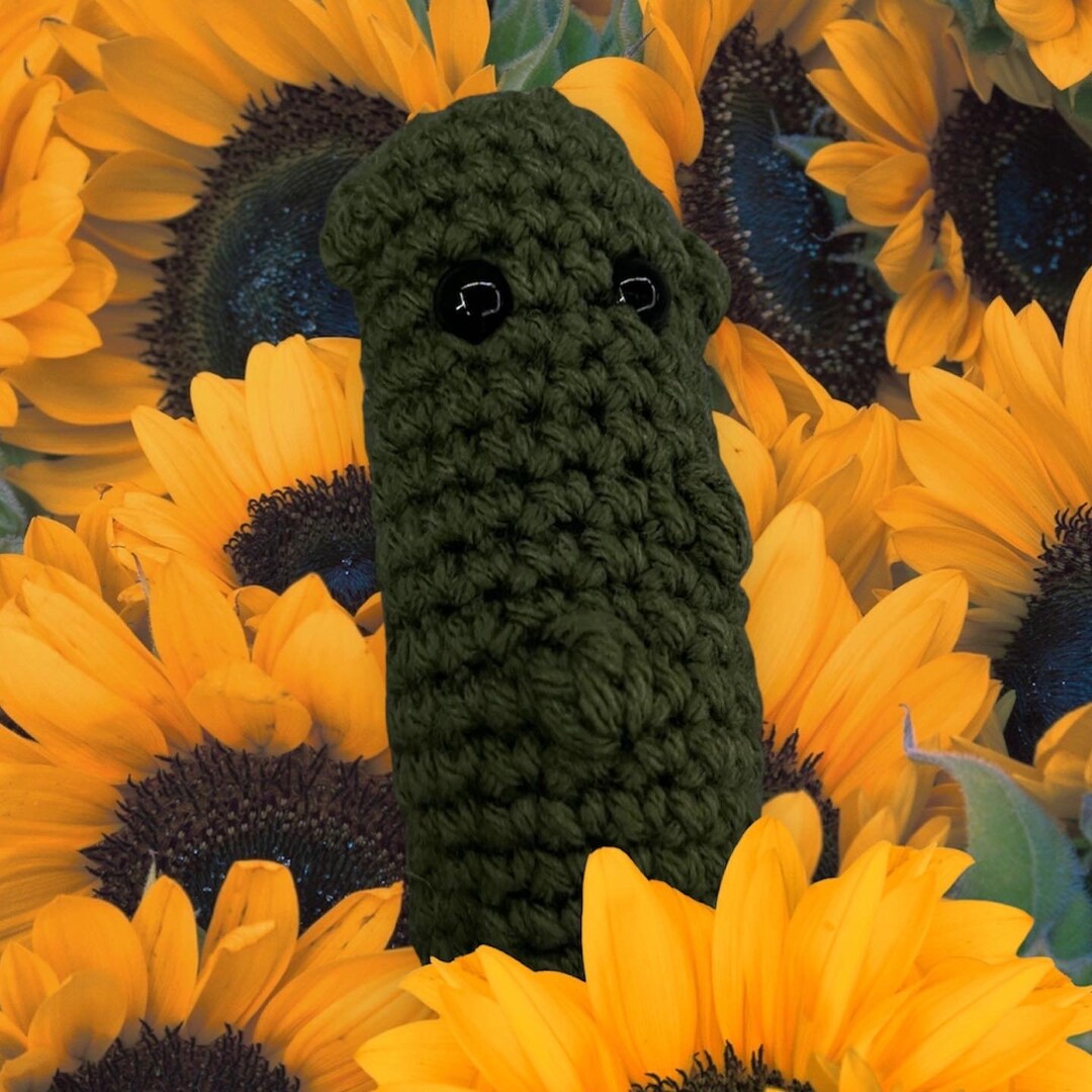 Pickle Crochet Gift for Pickle Lover Gift for Kids Crochet Toy Crochet ...