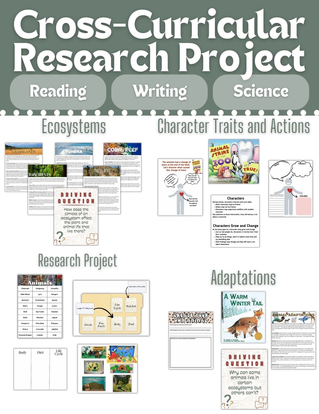 Animal Adaptations and Ecosystems - Unit Lesson Plans - Etsy