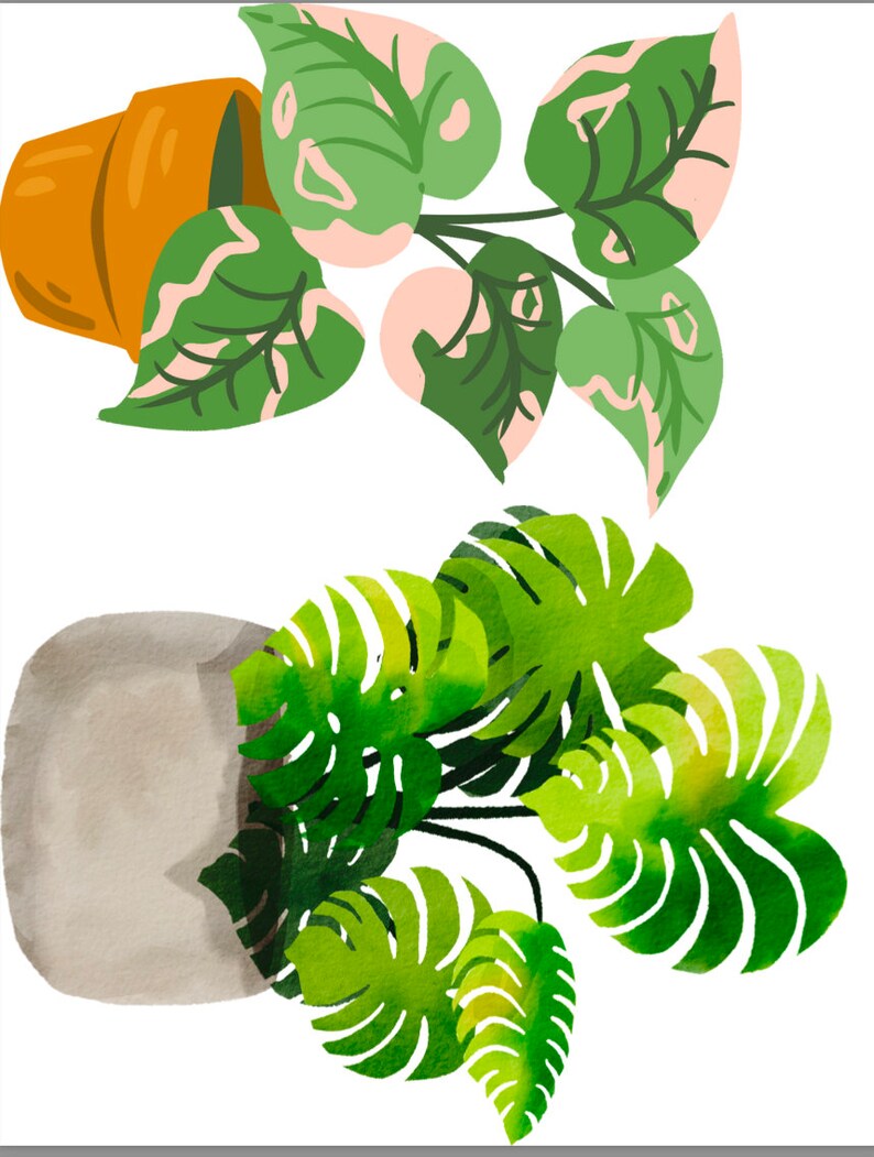 Back to School Bulletin Board Kit - Etsy