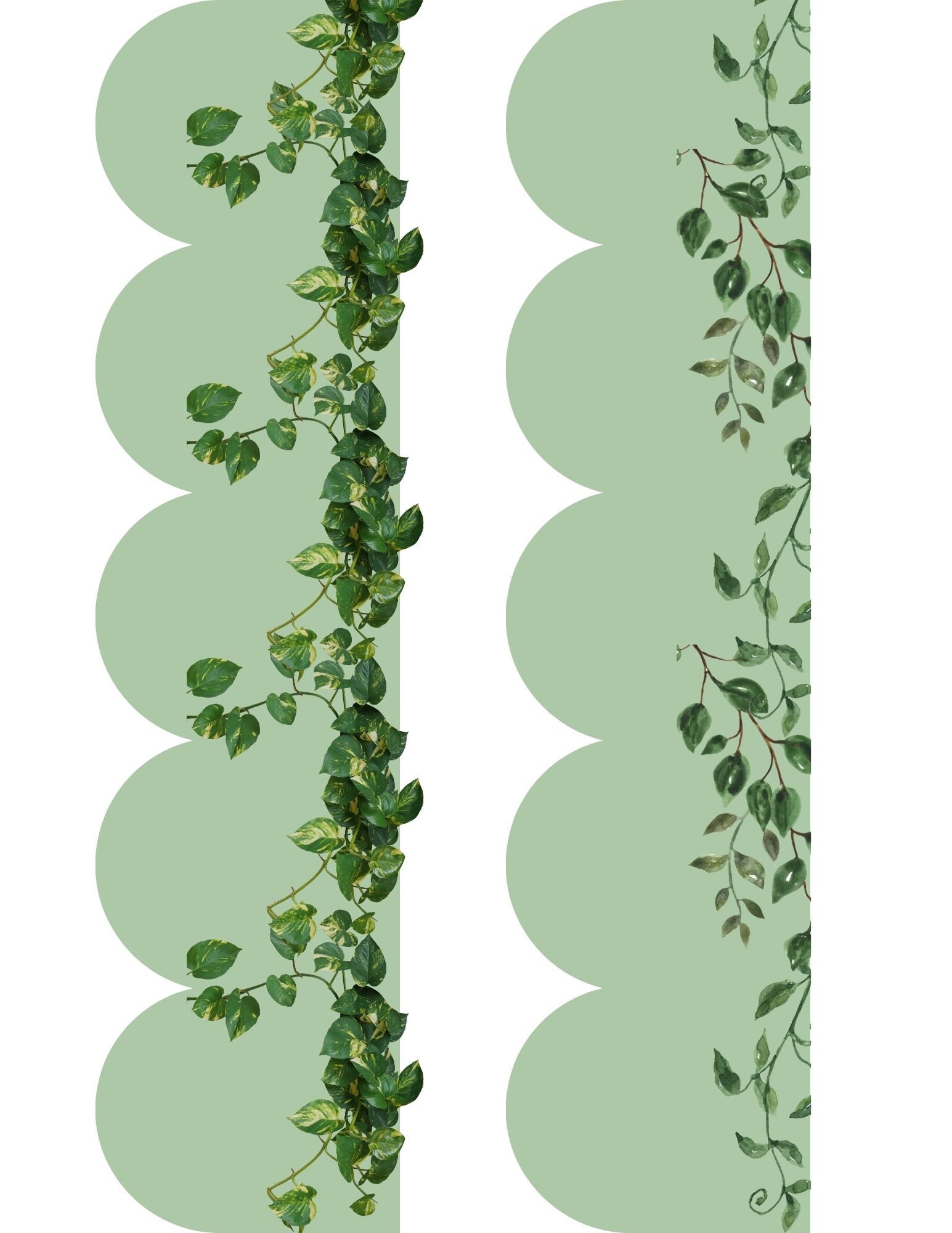 Plant Themed Classroom Decor - Etsy