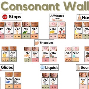 Boho Sound Wall - Science of Reading - Etsy