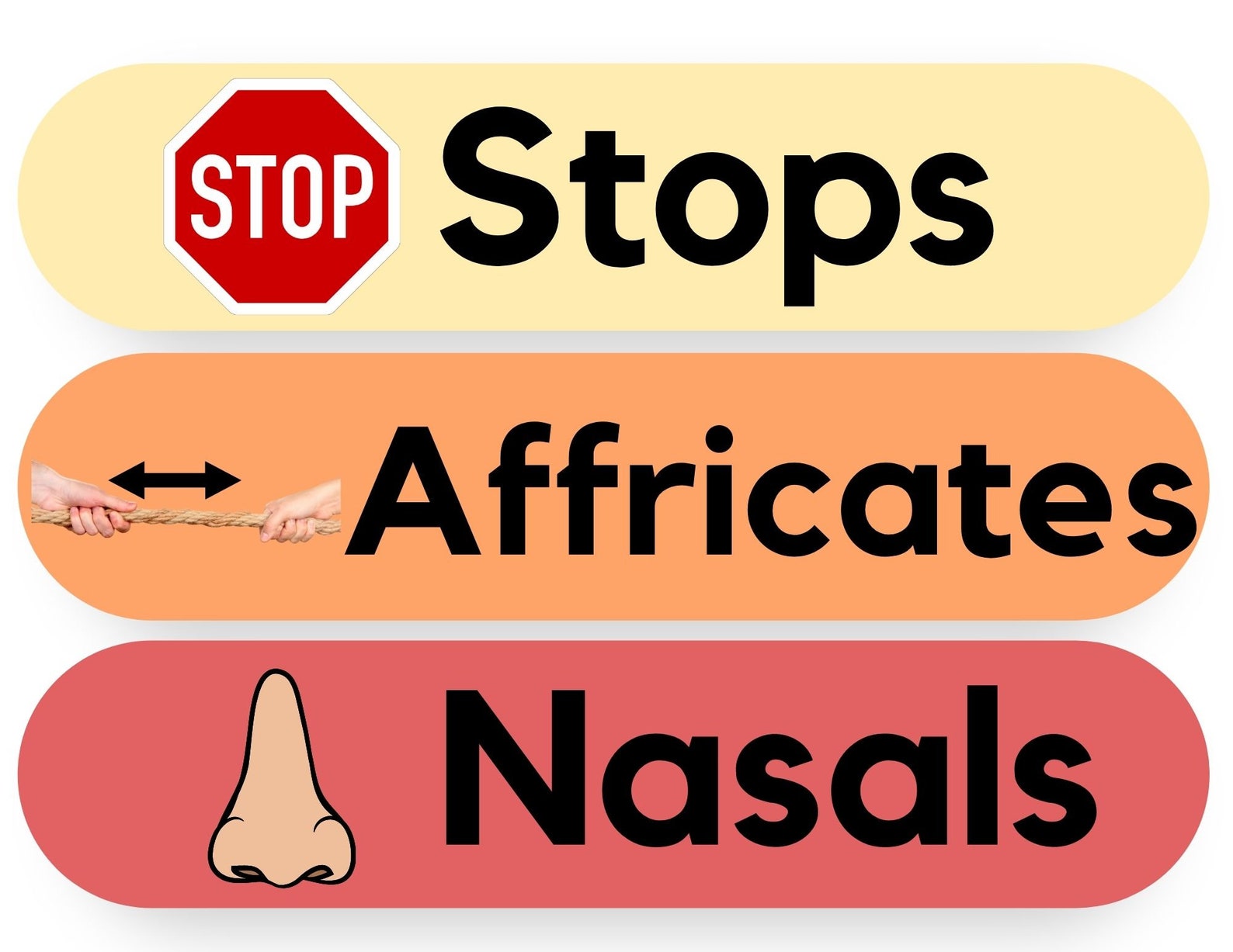 Retro Sound Wall Science of Reading - Etsy