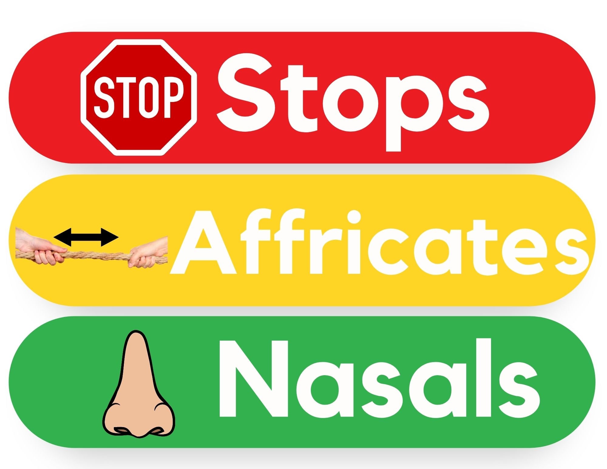 Rainbow Sound Wall - Science of Reading - Etsy