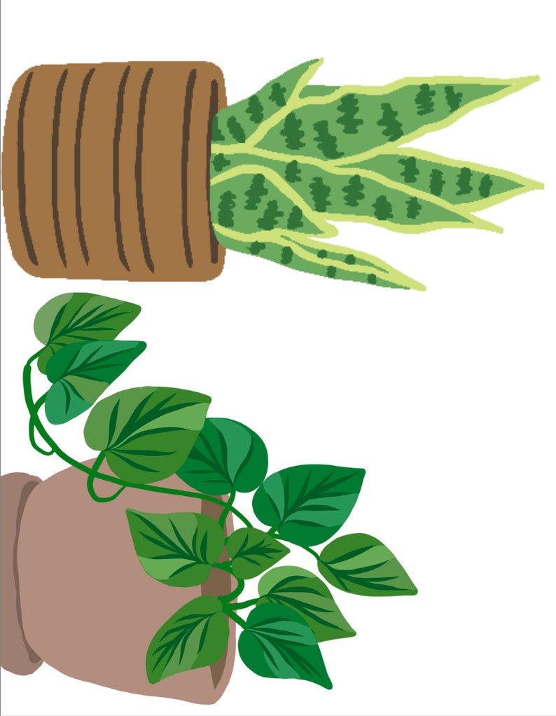 Back to School Bulletin Board Kit - Etsy