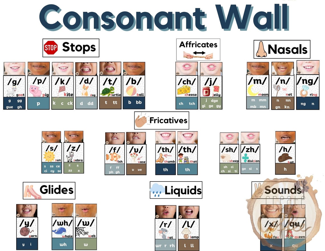 Sound Wall Science of Reading - Etsy