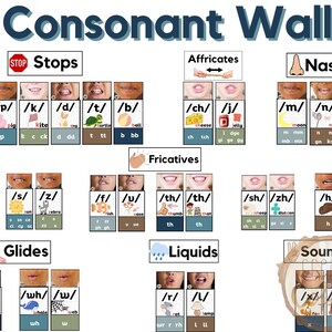 Sound Wall - Science of Reading - Etsy