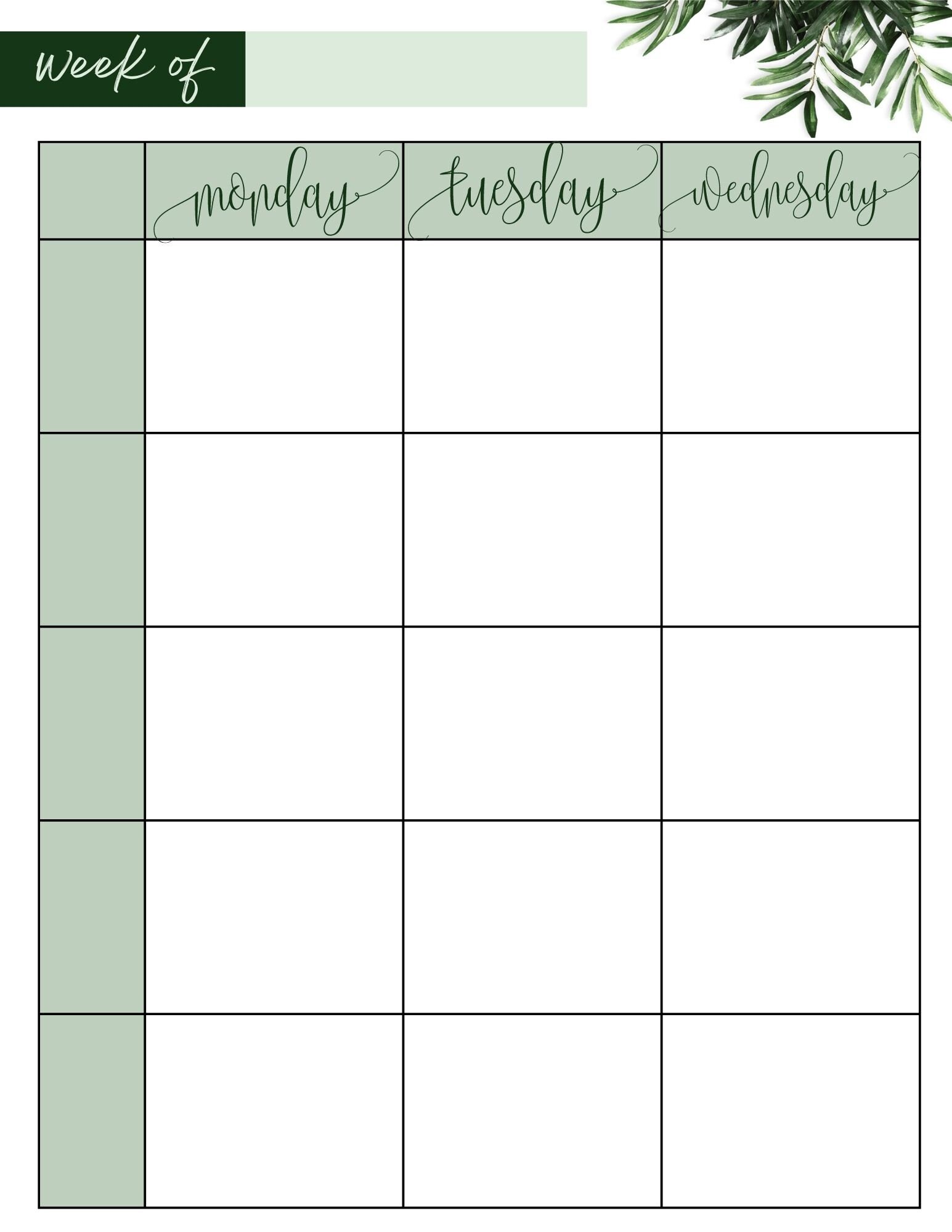 Editable Teacher Planner - Plant Theme - Etsy