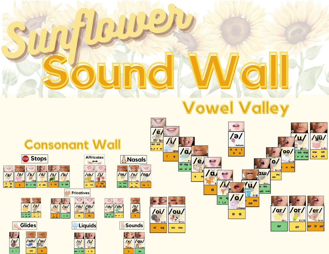 Sunflower Sound Wall - Science of Reading - Etsy