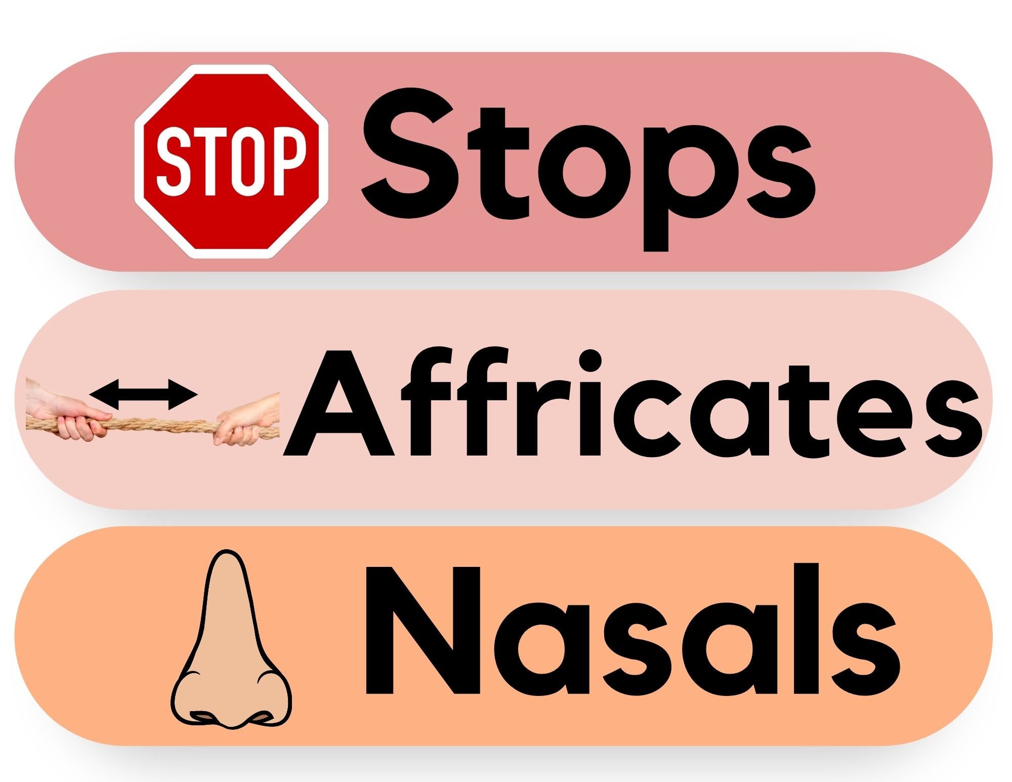 Boho Sound Wall - Science of Reading - Etsy