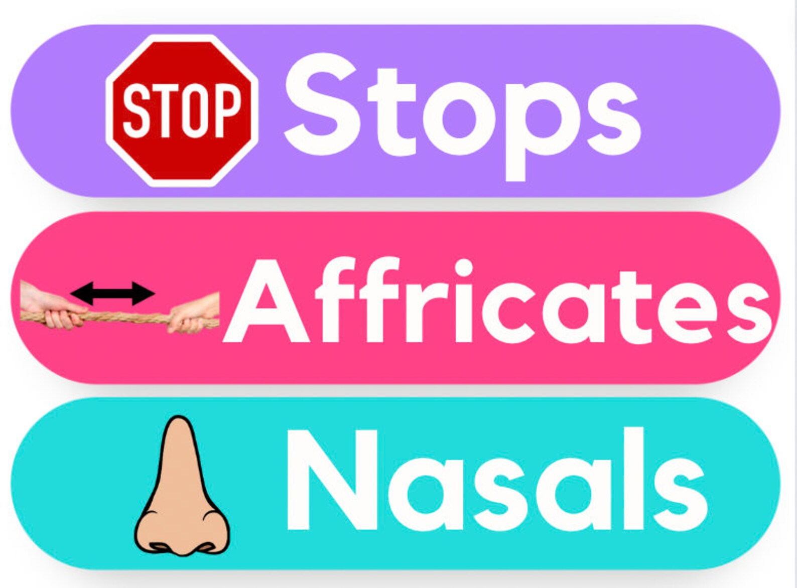 Bright Sound Wall - Science of Reading - Etsy