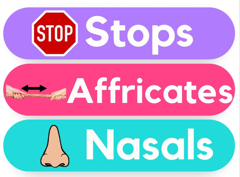 Bright Sound Wall - Science of Reading - Etsy