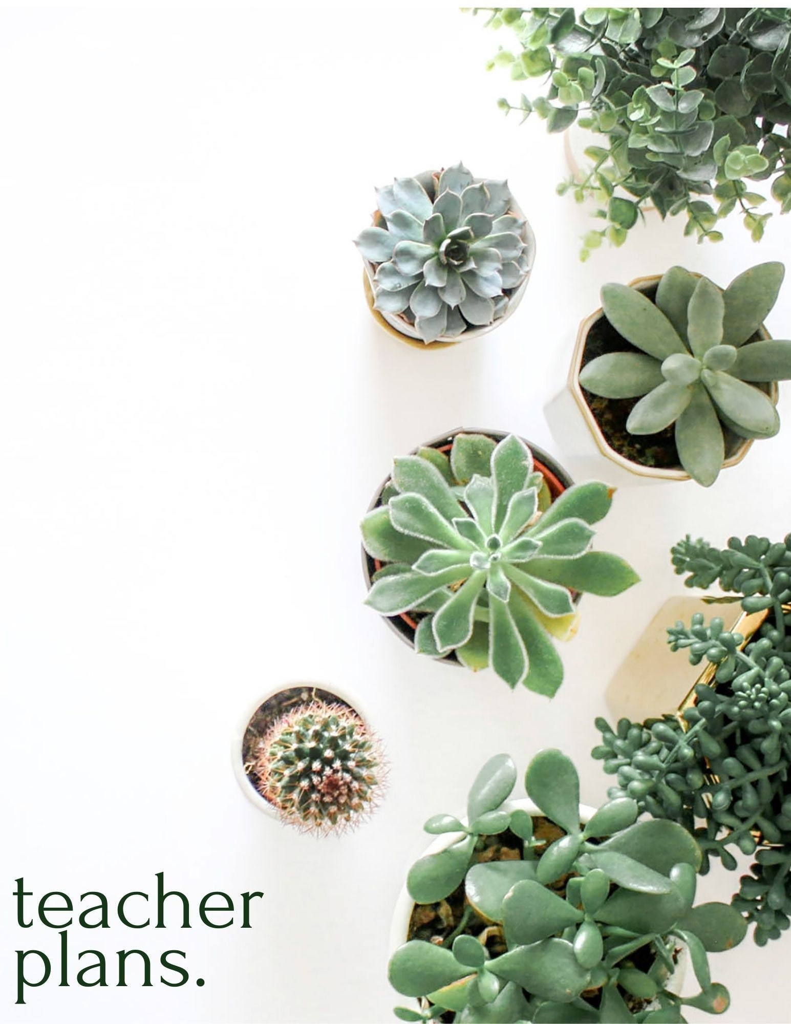 Editable Teacher Planner - Plant Theme - Etsy