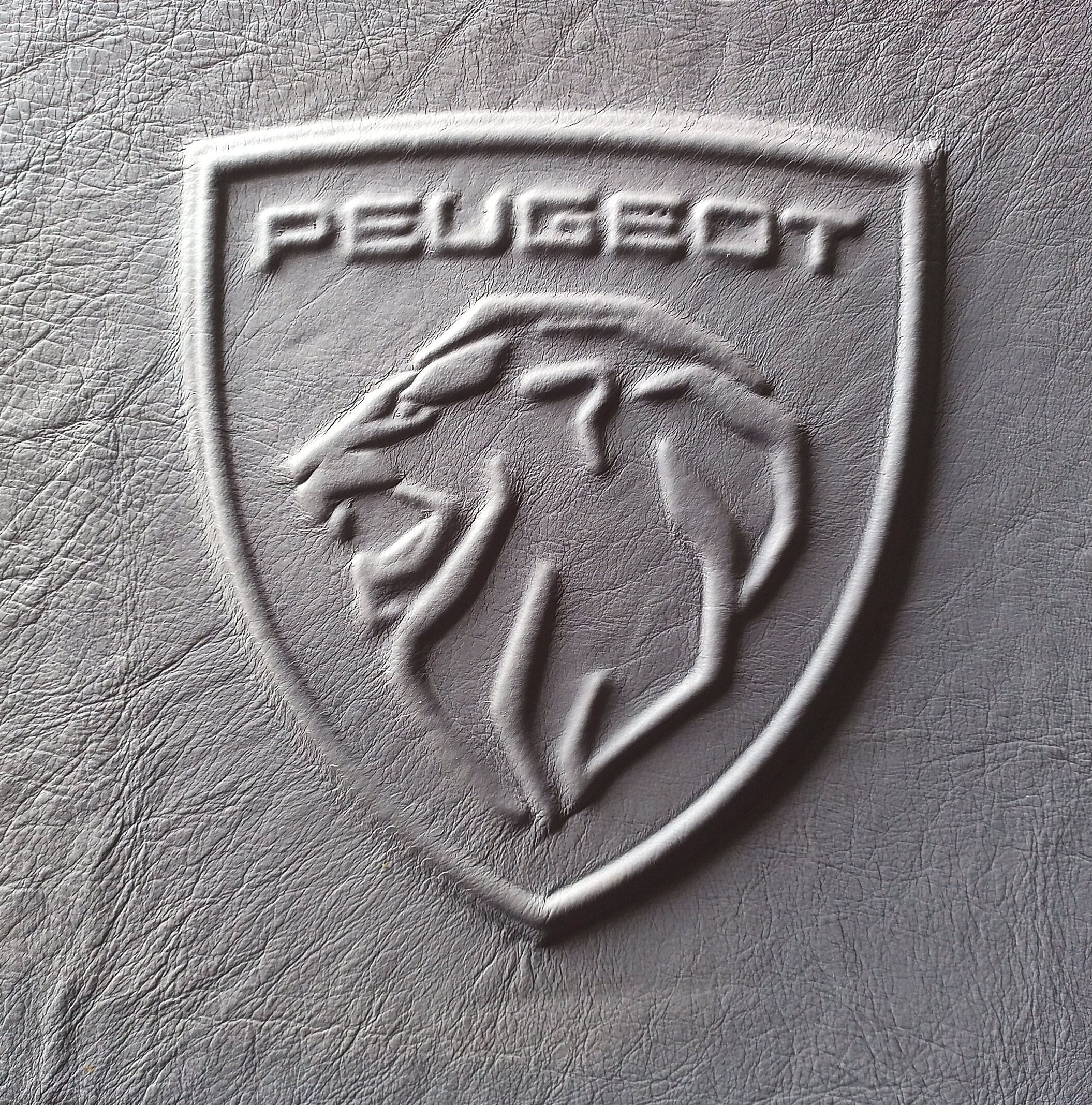 Campervan/ Camper/rv Emblem Logo Substrate Vw/renault/peugeot/mercedes ...