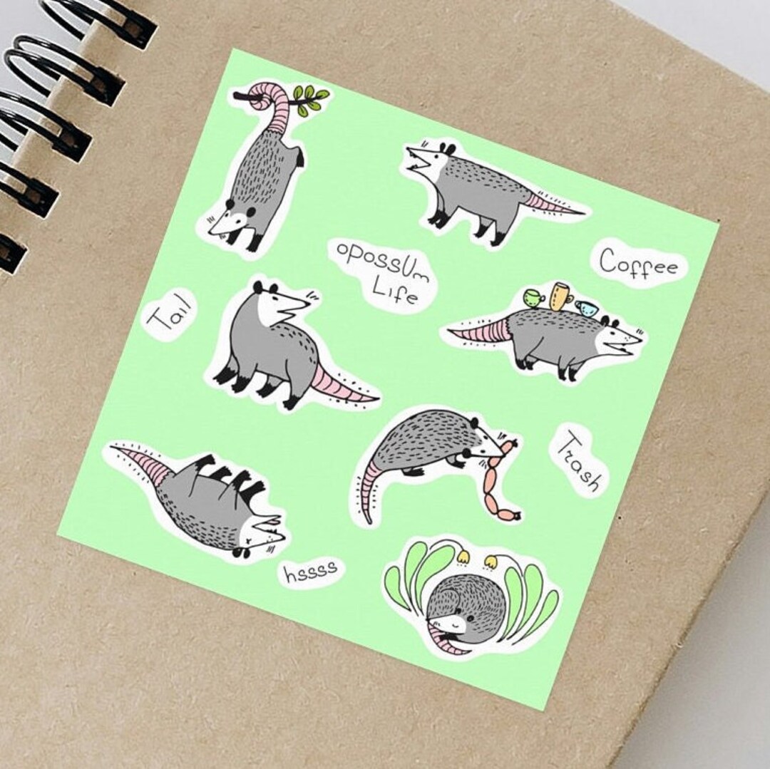 Funny Possum Sticker, Cute Opossum Sticker, Square Vinyl Sticker ...