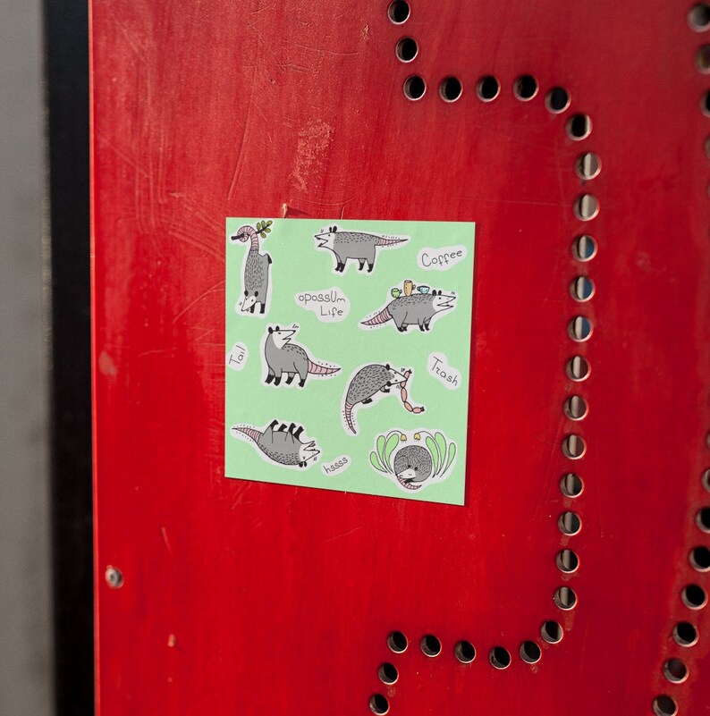 Funny Possum Sticker, Cute Opossum Sticker, Square Vinyl Sticker ...