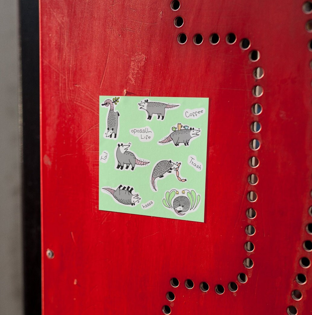 Funny Possum Sticker, Cute Opossum Sticker, Square Vinyl Sticker ...