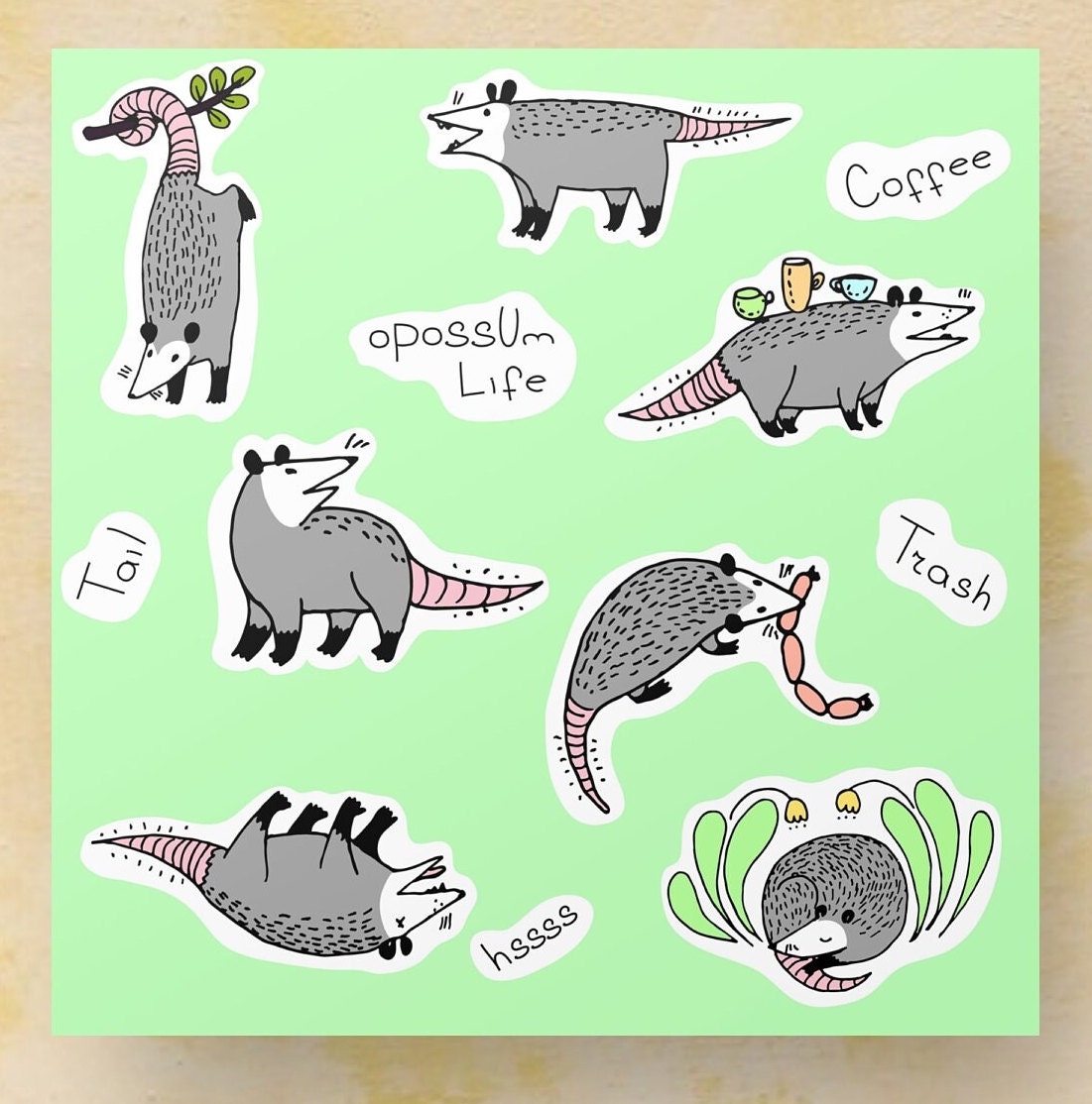 Funny Possum Sticker, Cute Opossum Sticker, Square Vinyl Sticker ...