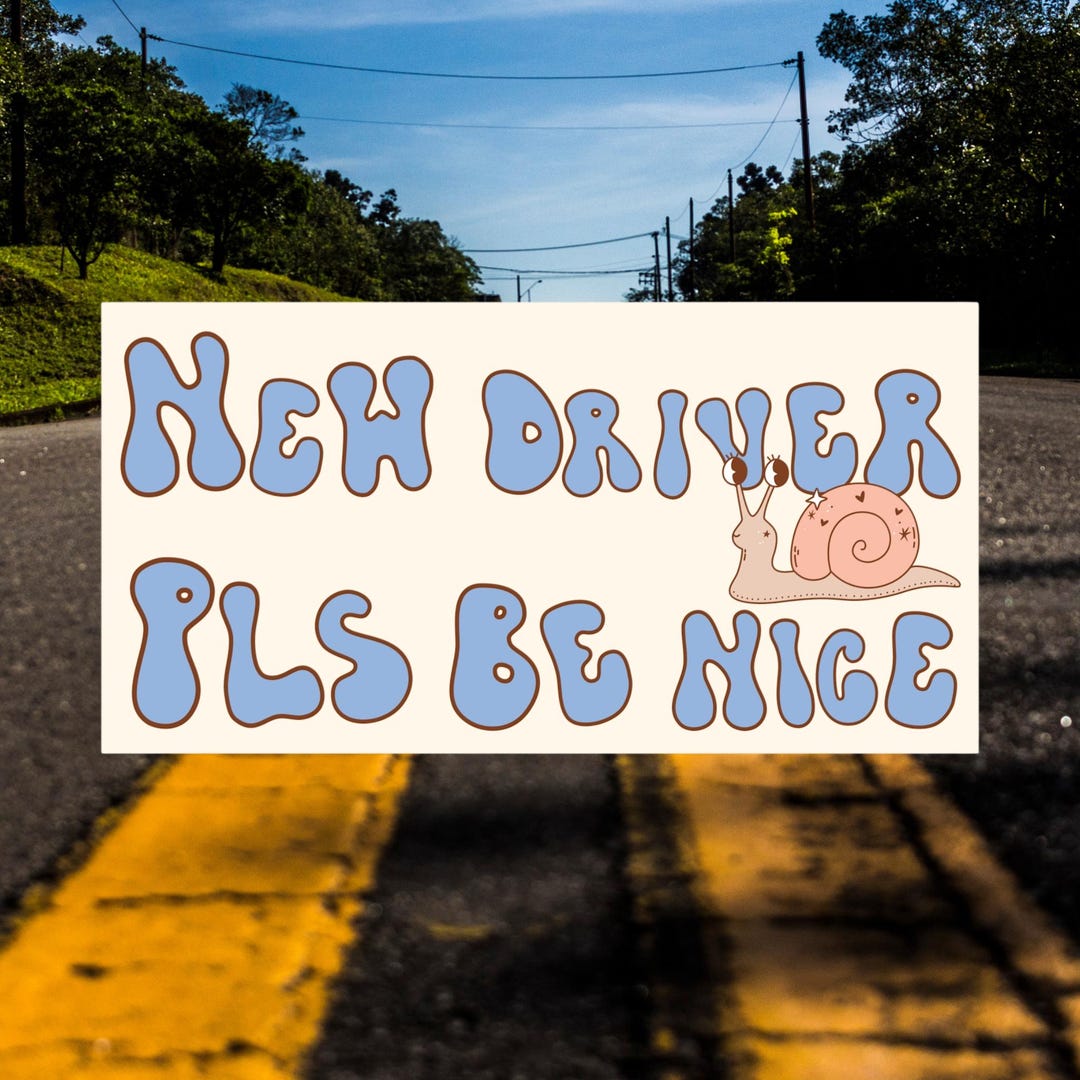 New Driver Pls Be Nice Bumper Sticker, Funny Meme Sticker, Waterproof ...