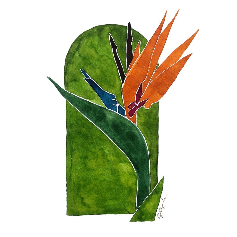 Strelitzia Art - Etsy