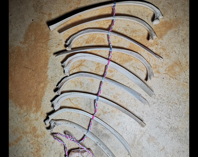 Bone Witches Ladder Witch Pagan Druid Shaman Spiritual Medicine Healing ...