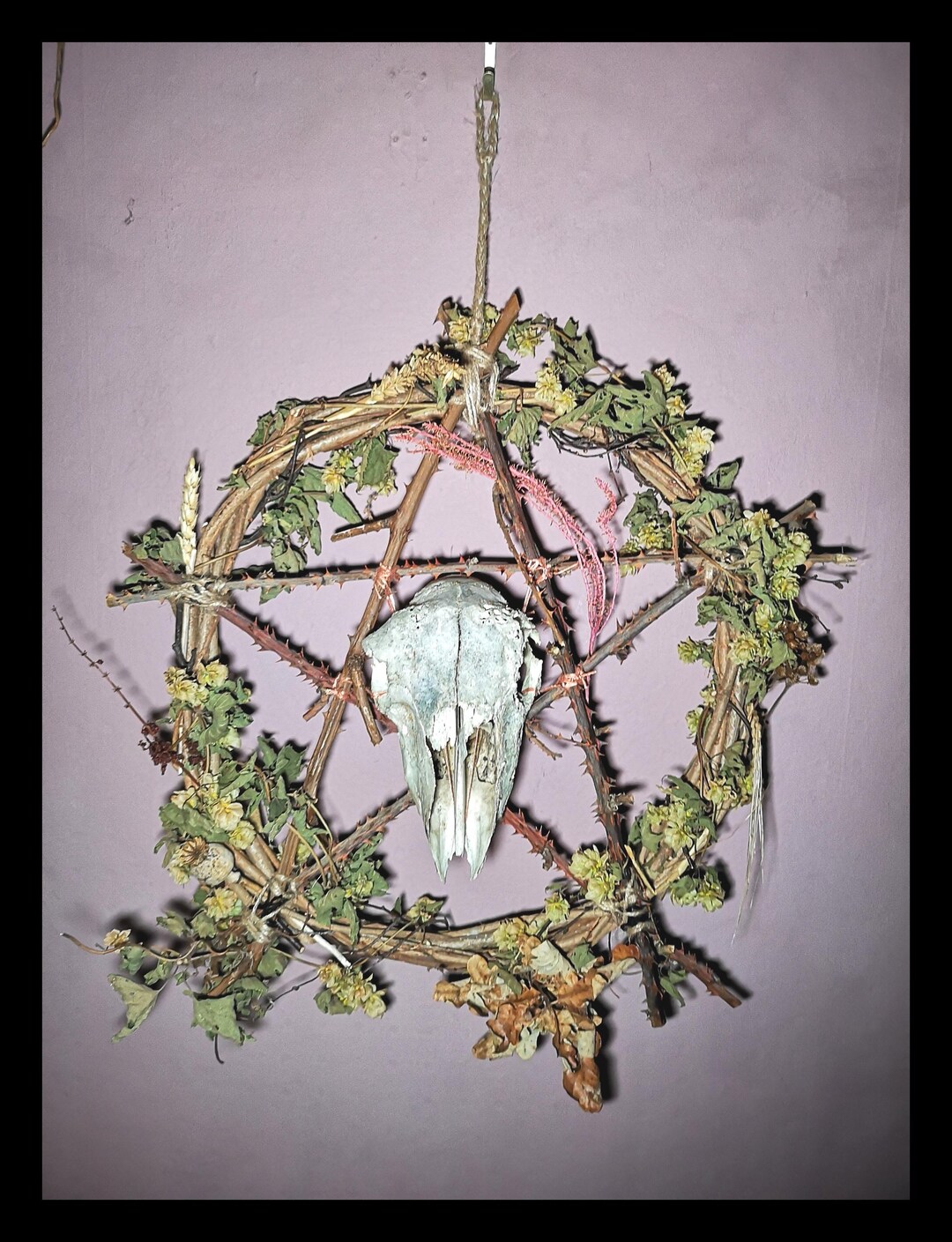 Pentacle Wall Window Charm Witch Wicca Pagan Druid Shaman Celtic ...