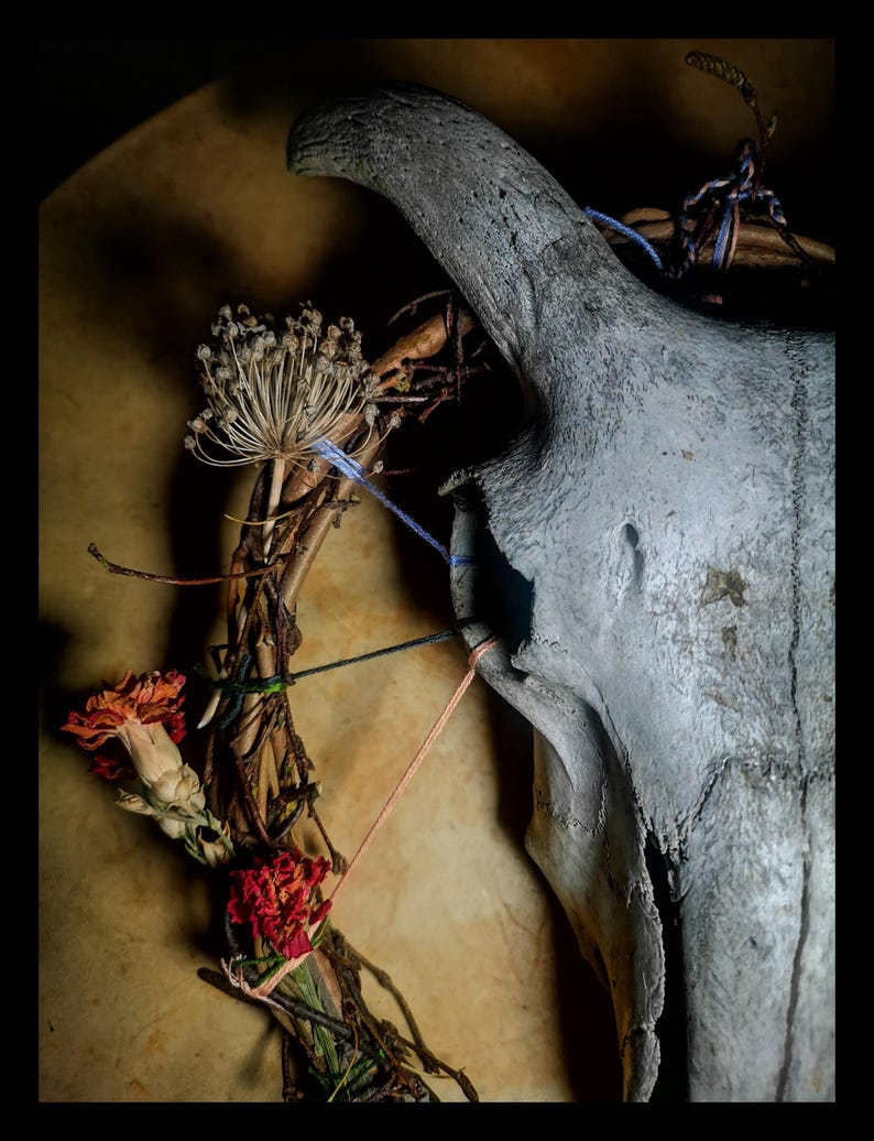 Screamcatcher Dreamcatcher Ram Skull Totem Charm Witch Wicca Pagan ...