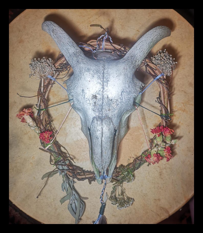 Screamcatcher Dreamcatcher Ram Skull Totem Charm Witch Wicca Pagan ...