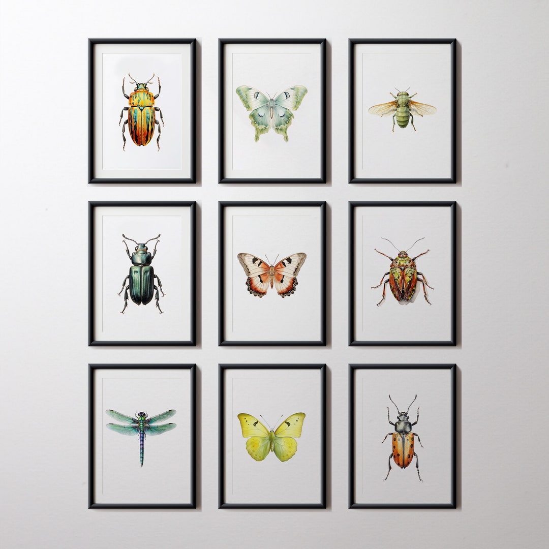 Insect Gallery Wall Art Set Bundle of 9 Printable Bug Illustrations ...
