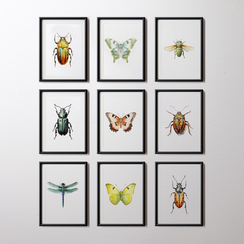 Insect Wall Art - Etsy