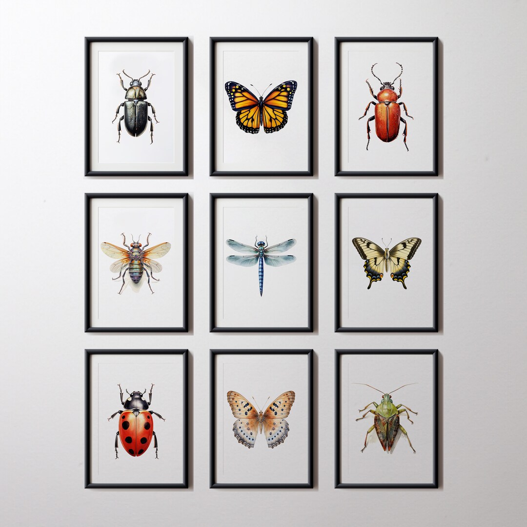 Insect Gallery Wall Art Set Bundle of 9 Printable Bug Illustrations ...