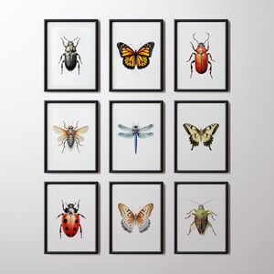 Insect - Etsy