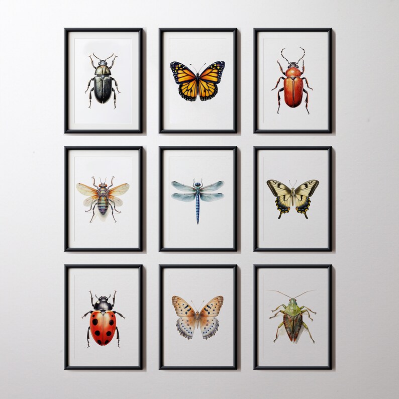 Insect Gallery Wall Art Set Bundle of 9 Printable Bug Illustrations ...