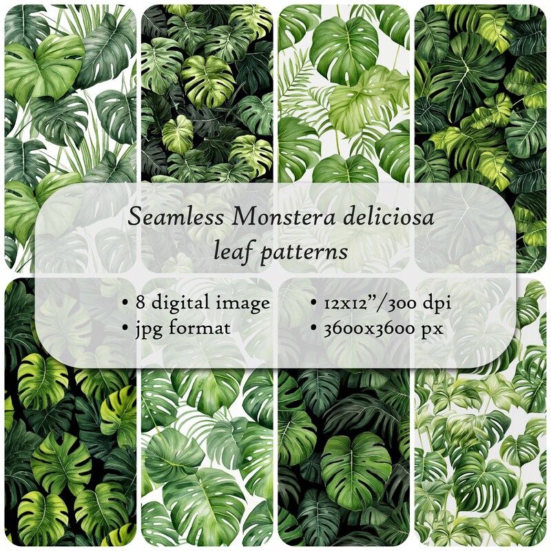 Monstera Print - Etsy