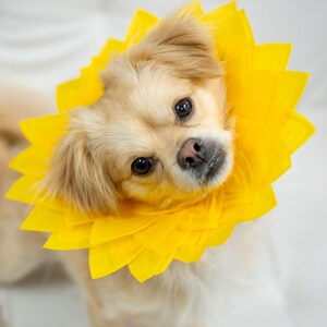High-quality Pets / Dogs Sunflower Costume - Etsy