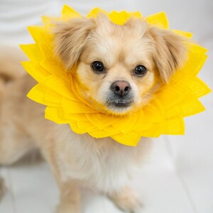 High-quality Pets / Dogs Sunflower Costume - Etsy