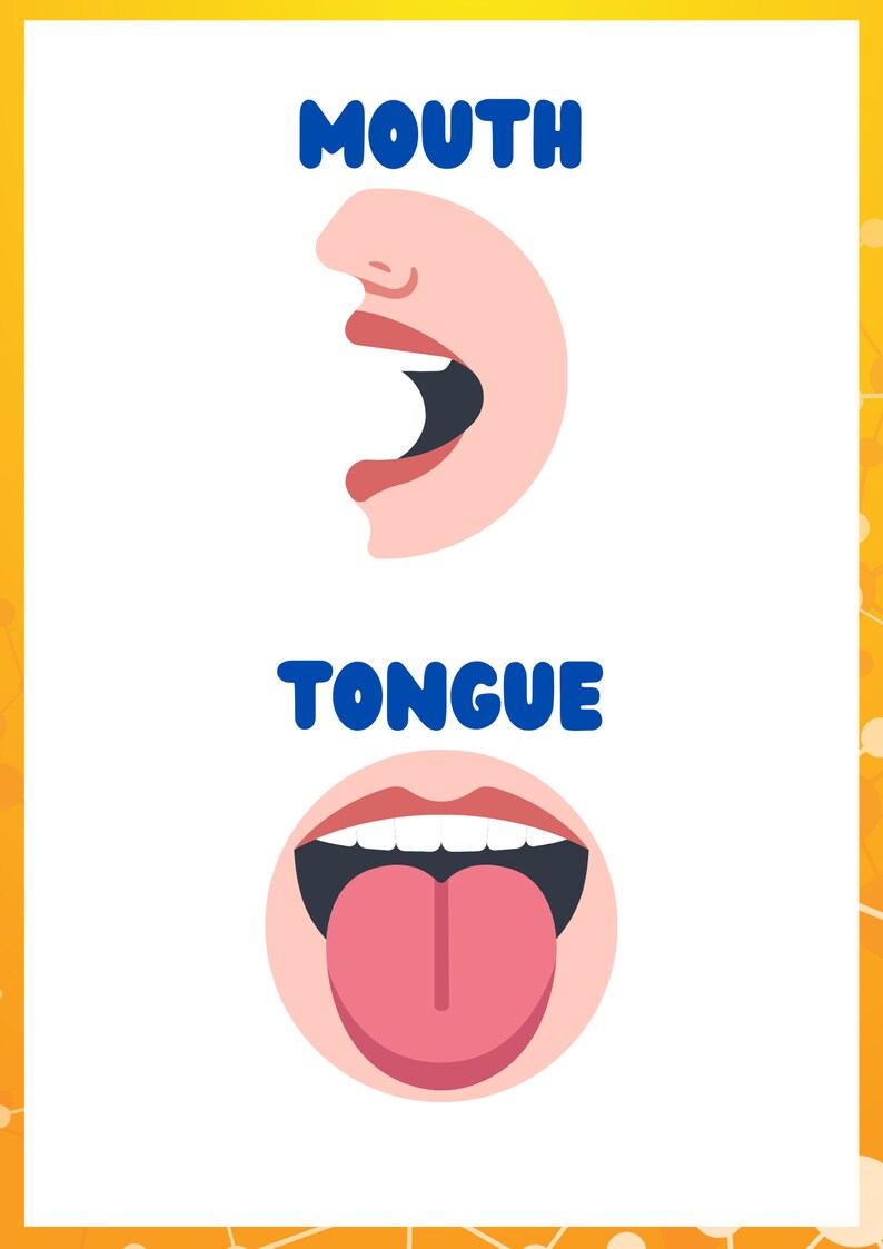 Printable Human Body Worksheet, Body Parts Anatomy for Kids, Matching ...